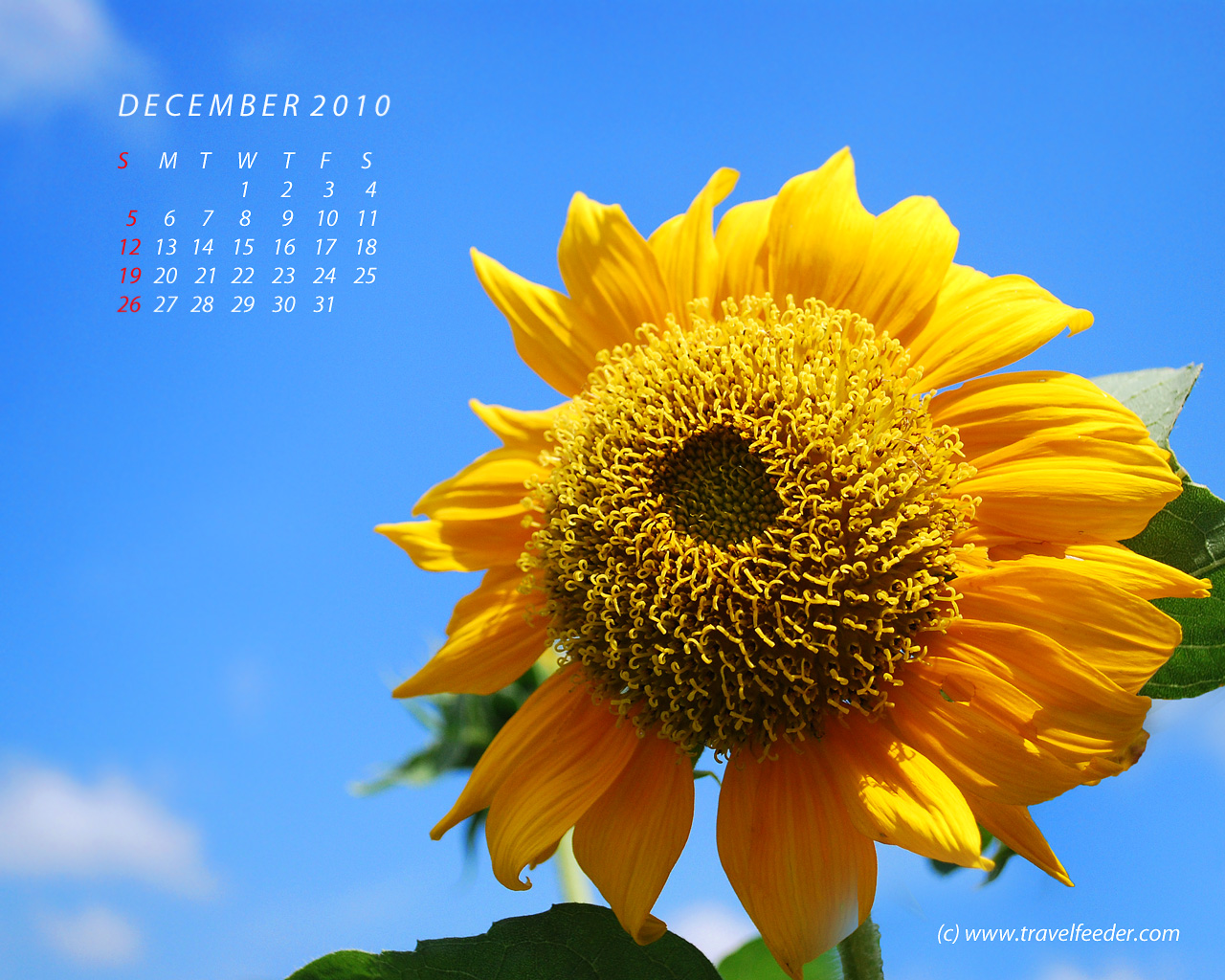 December 2010 Travel Photo Wallpaper Calendar Download